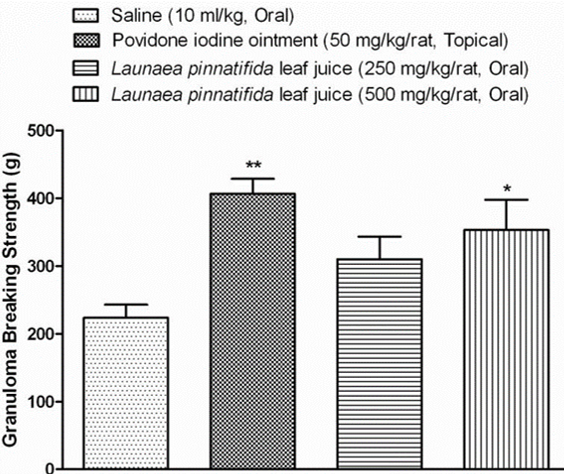 Wound healing potential of Launaea pinnatifida Cass leaf juice in rats
