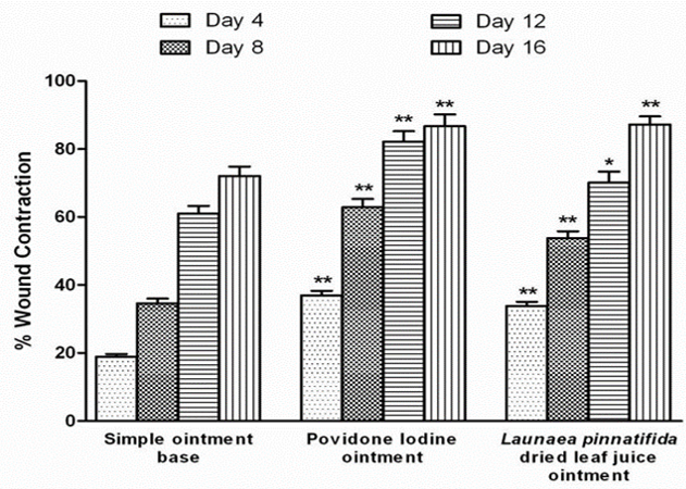 Wound healing potential of Launaea pinnatifida Cass leaf juice in rats