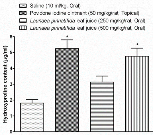 Wound healing potential of Launaea pinnatifida Cass leaf juice in rats
