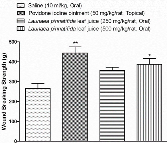Wound healing potential of Launaea pinnatifida Cass leaf juice in rats