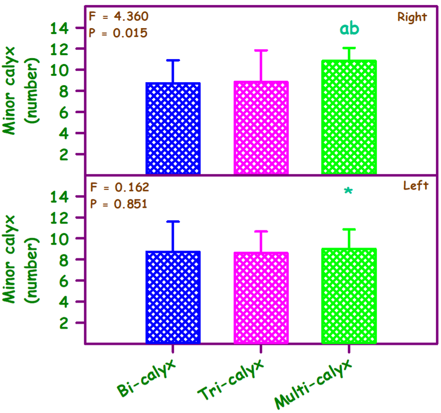 Analysis Of Morphology Of Renal Calyceal Pattern In Renal Donors Using ...