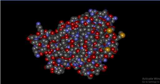 Identification of the motifs of beta-turns and mutated amino acids ...