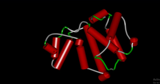 Identification of the motifs of beta-turns and mutated amino acids ...