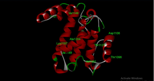 Identification of the motifs of beta-turns and mutated amino acids ...