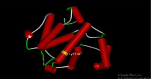 Identification of the motifs of beta-turns and mutated amino acids ...