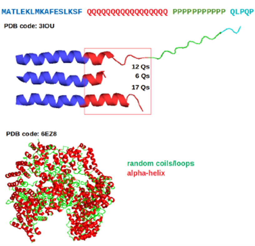 A Review on Structure Based Therapeutic Approach for Huntington Disease