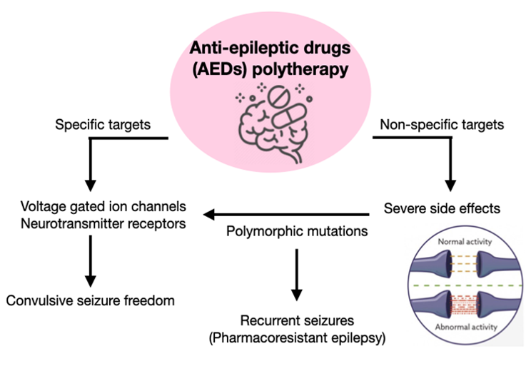 A Review on conceptual framework of Drug Side Effects and ...