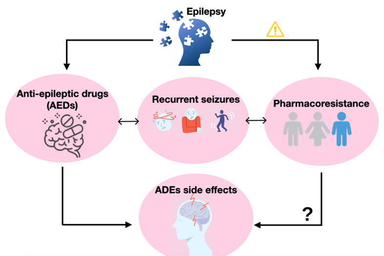 A Review on conceptual framework of Drug Side Effects and ...